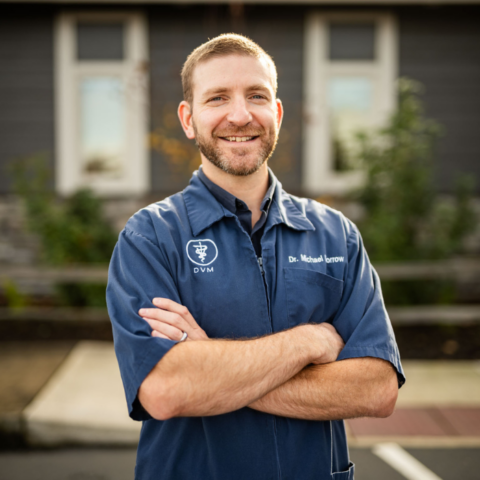 Best Veterinary Hospital In Aumsville, OR | Aumsville Animal Clinic, LLC