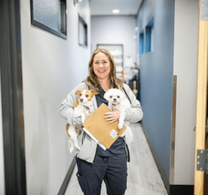 Best Veterinary Hospital In Aumsville, OR | Aumsville Animal Clinic, LLC